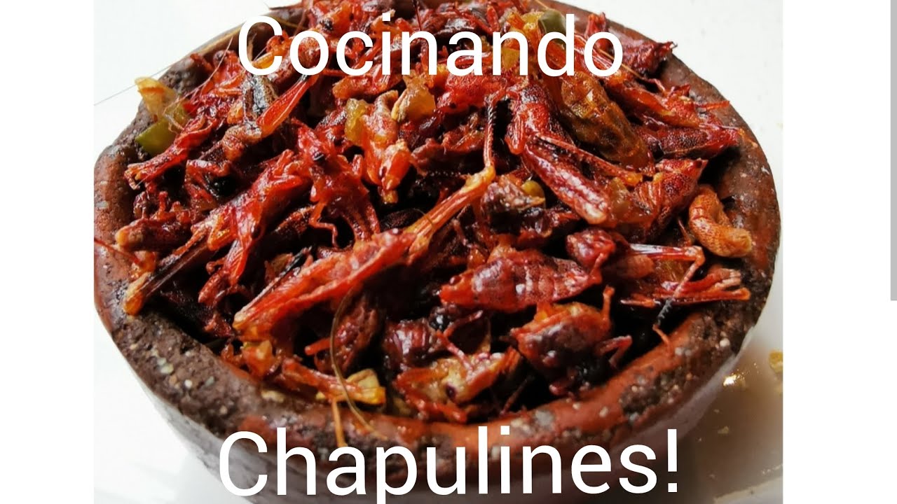 Chapulines fritos receta!😘 - YouTube