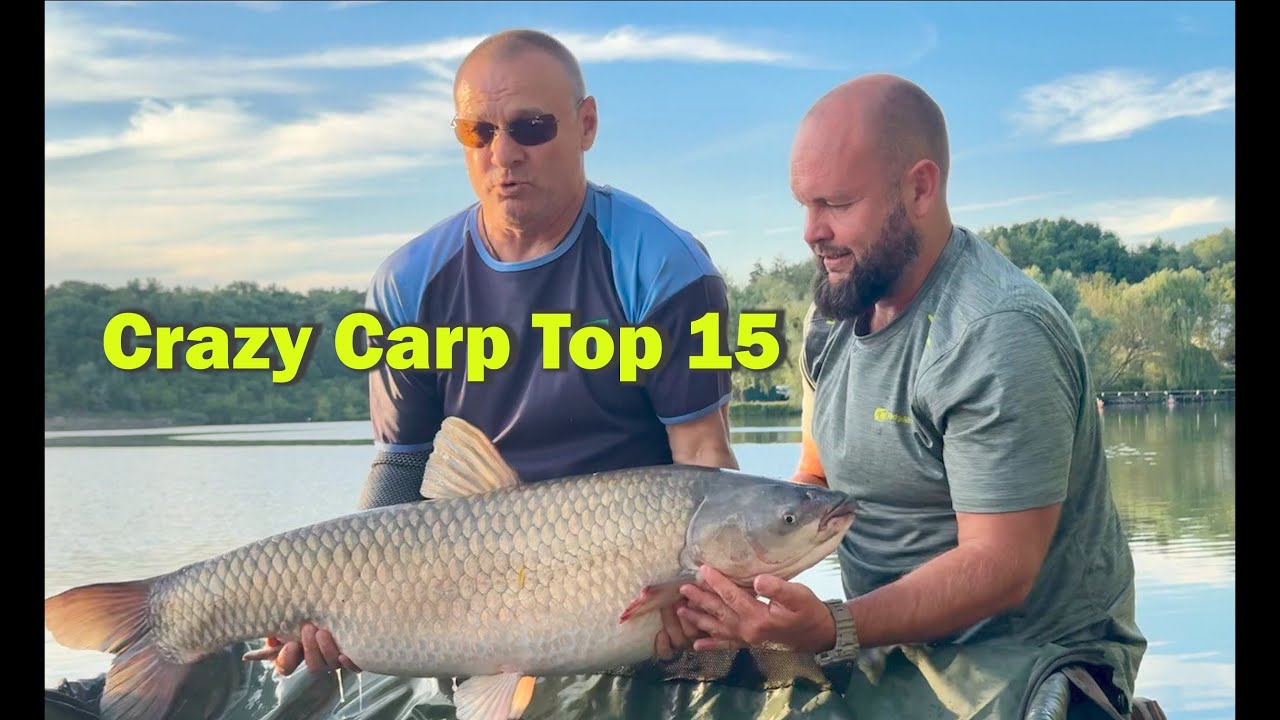 Рибалка на Уляниках! Crazy Carp Best of 15 Fish! Карпфішинг 2024! - YouTube