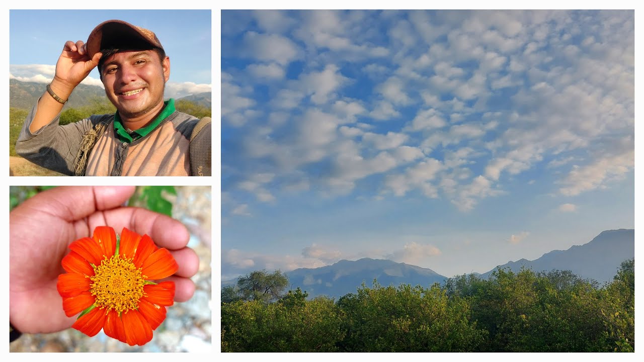 Santa María Tecomavaca | Explorando los lugares más increíbles de mi ...