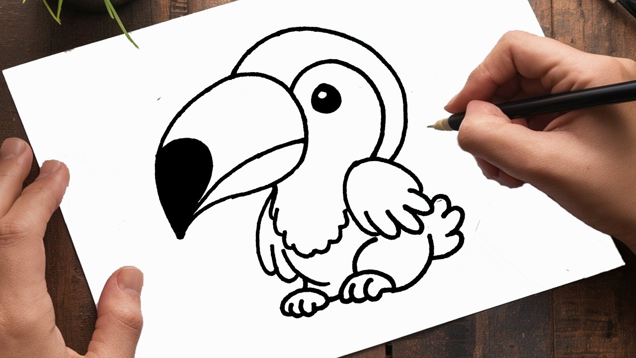 How To Draw Toucan Kawaii | Learn To Draw Toucan | Drawing And Coloring ...