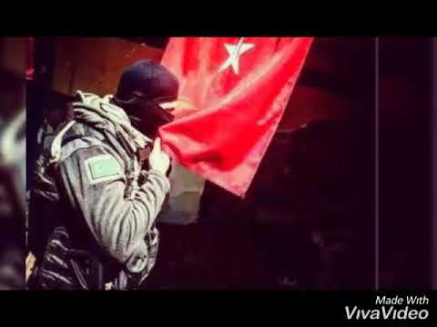 Yaşasın ırkımız Çine bedel kırkımız