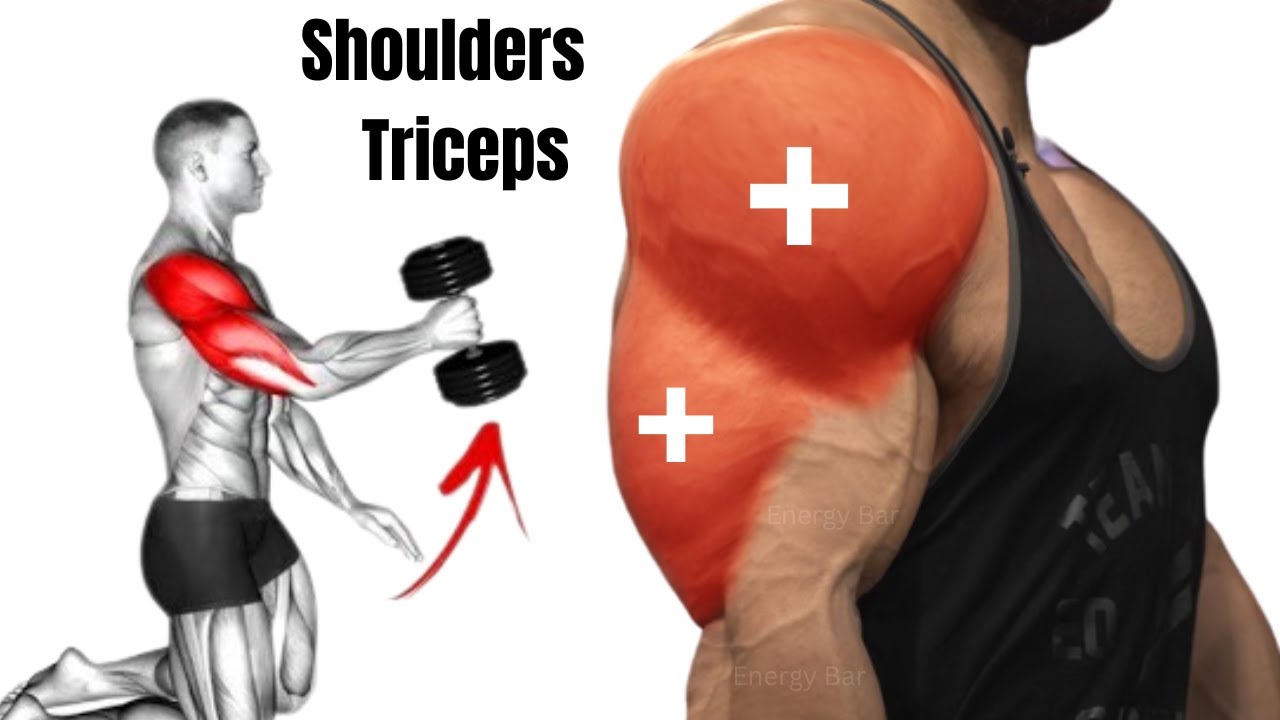 Shoulders and Triceps Workout at gym for building Muscles - Energy Bar ...
