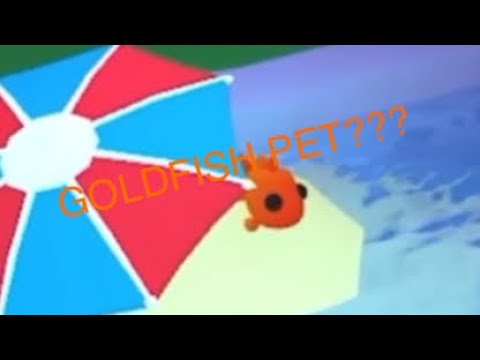 ADOPT ME NEW POOL UPDATE!🌴GOLDFISH PET? AQUARIUM? - YouTube