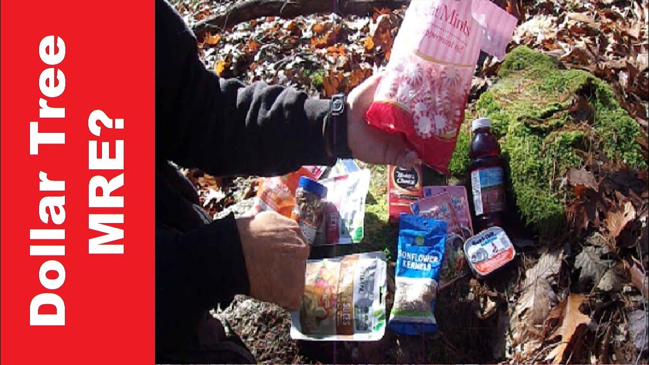 Dollar Tree MRE? - YouTube