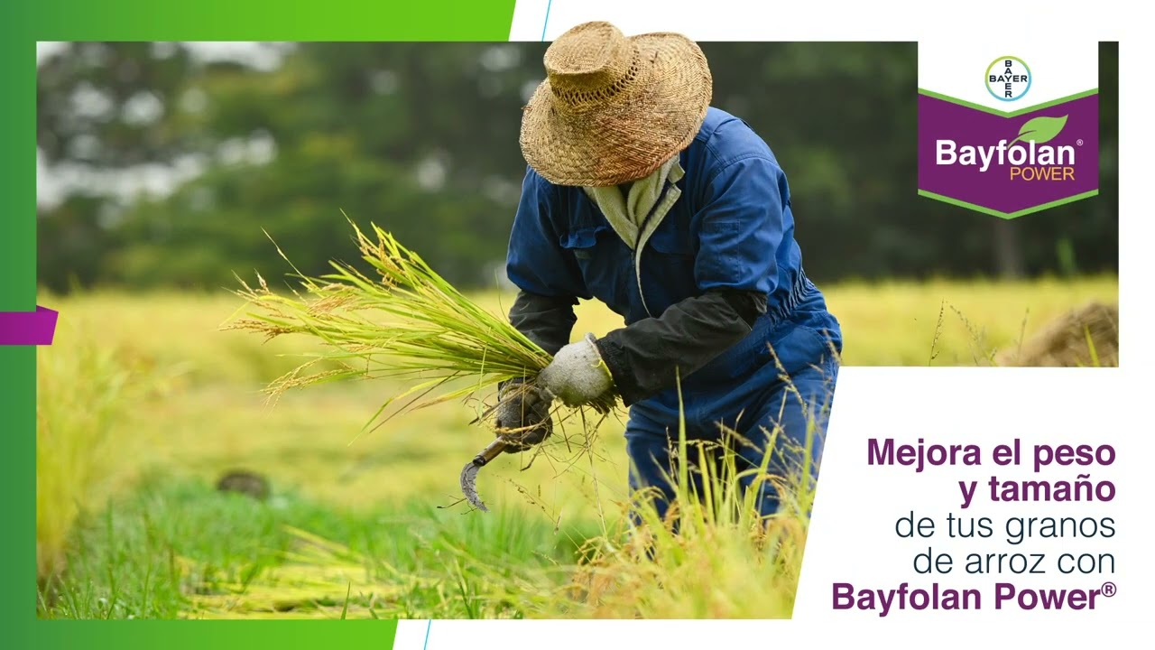 Bayfolan Power® | Agro Bayer Perú - YouTube