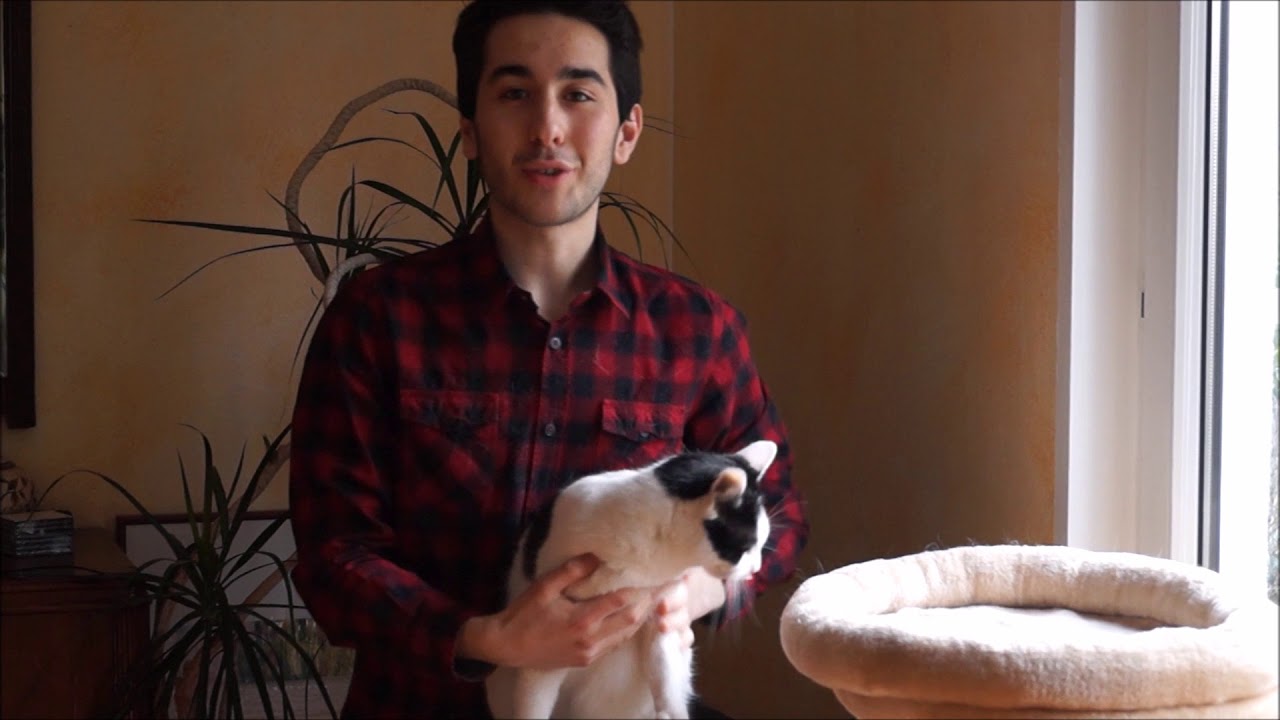 Manuel Lipstein - TONALi18 Teilnehmer - YouTube