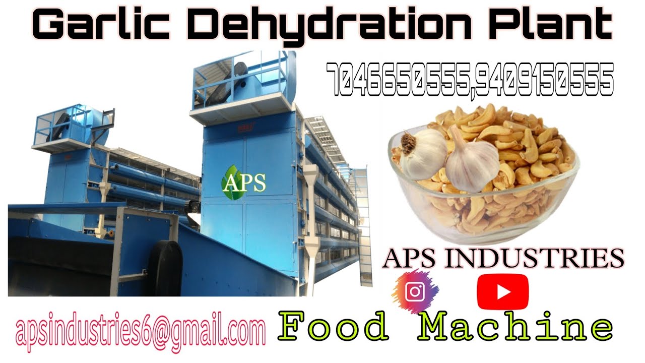 1000kg/hr Garlic Dehydration Production Line,7046650555 - YouTube