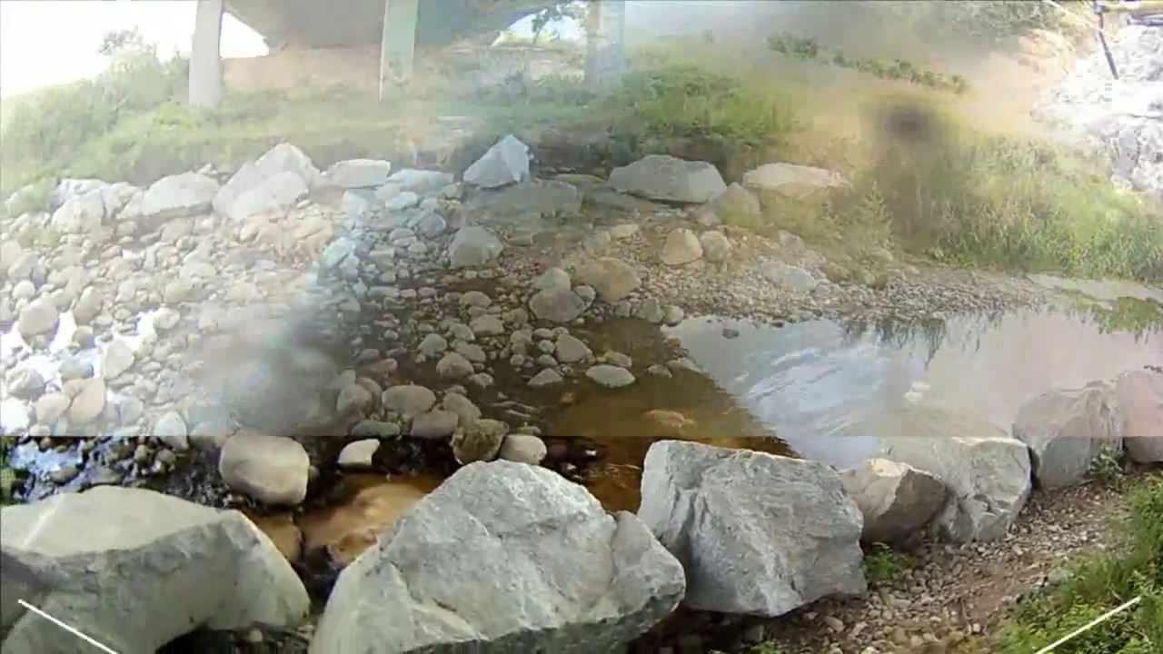 RIU CONGOST CANOVELLES Clip5 - YouTube