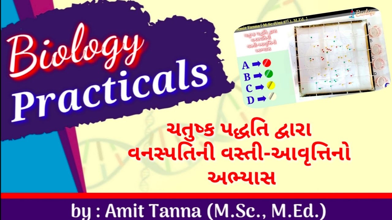 Biology Practicals | ચતુષ્ક પદ્ધતિ વડે વનસ્પતિની વસ્તી આવૃત્તિનો અભ્યાસ ...