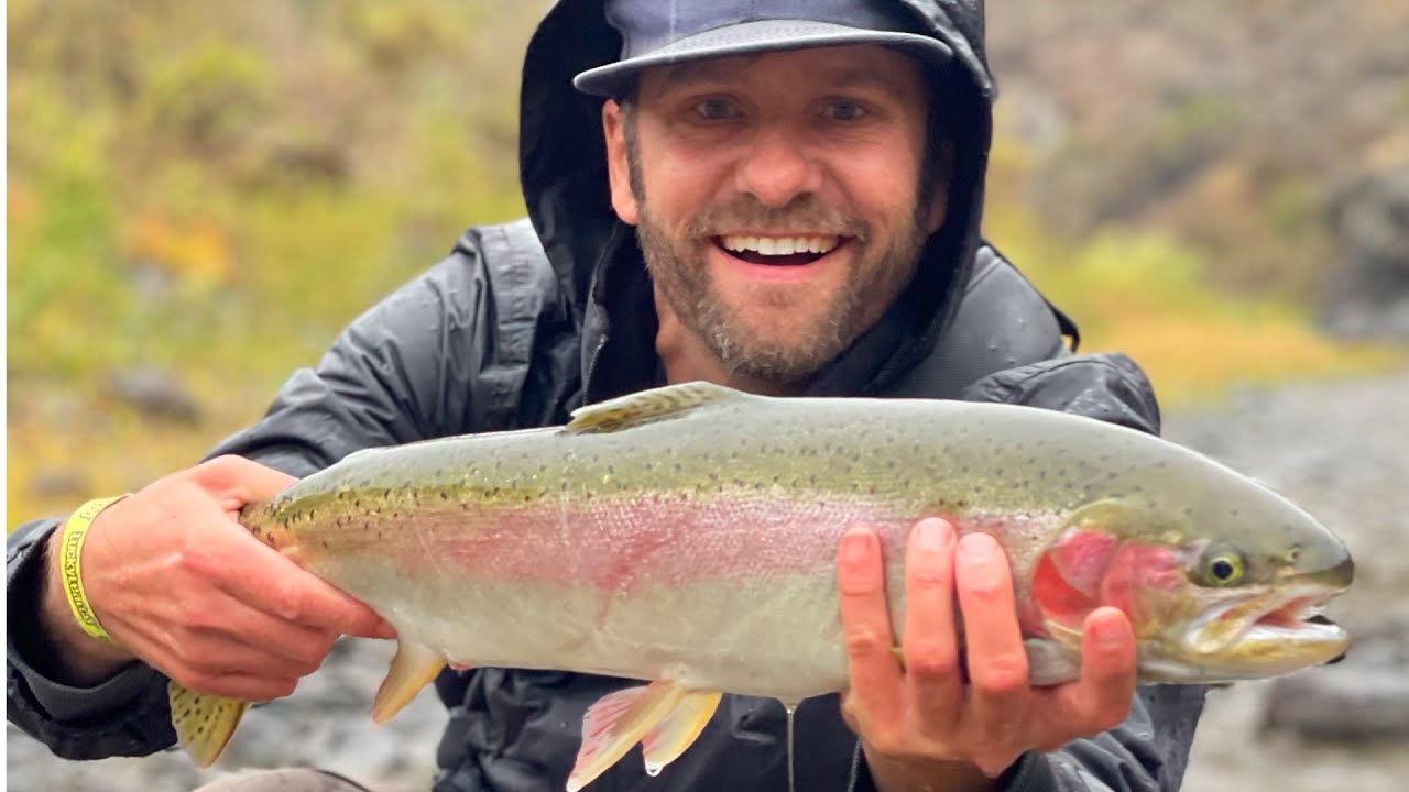 Dreaming in Color. FIRST WILD STEELHEAD FLY FISHING!!!!! - YouTube