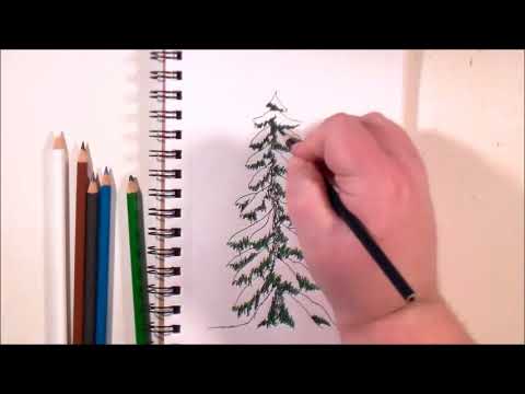 How to Draw a Snow Covered Tree - YouTube
