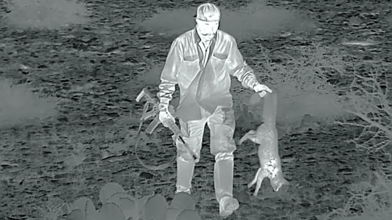 SOUTH TEXAS FOX HUNTING - WTBBC - JANUARY 2024 - YouTube