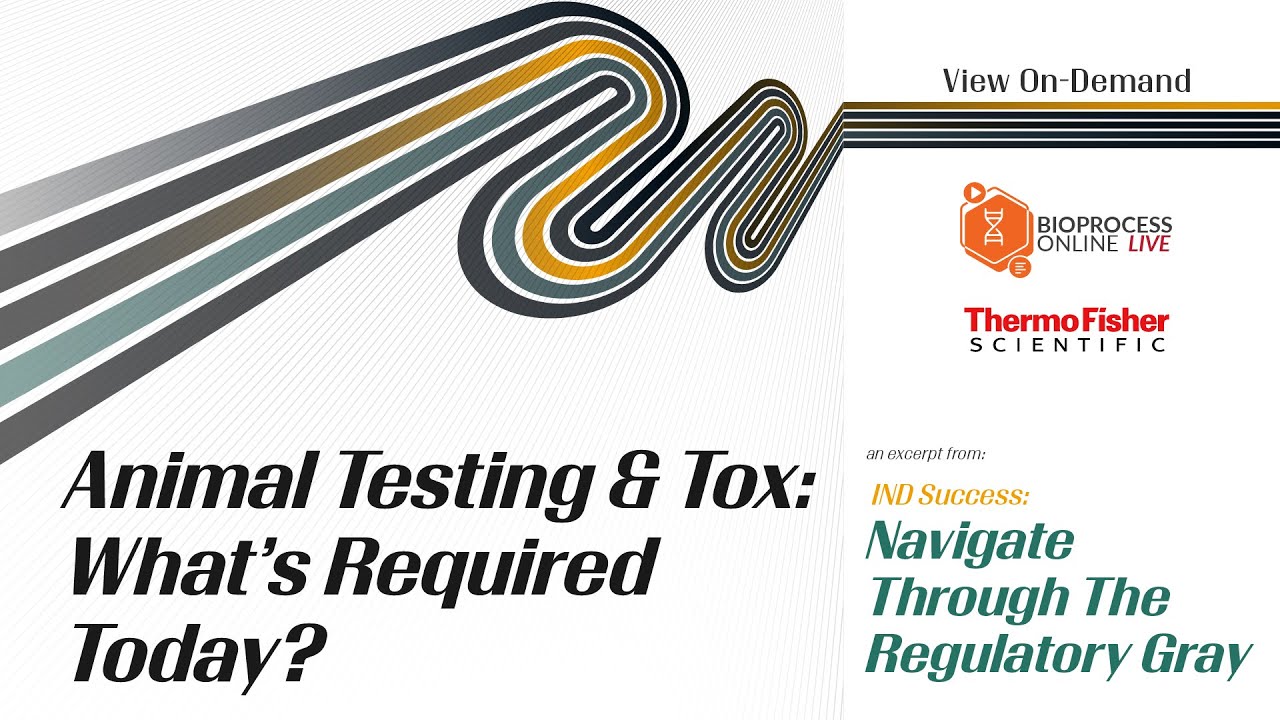 Animal Testing & Tox: What’s Required Today? - YouTube