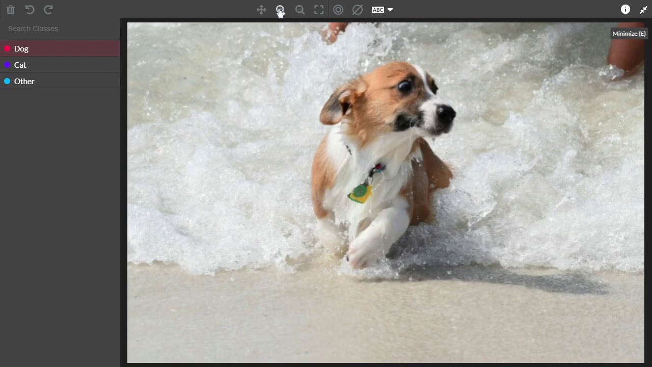 [Training Job] Mark Animals Using A Bounding Box In Images - YouTube