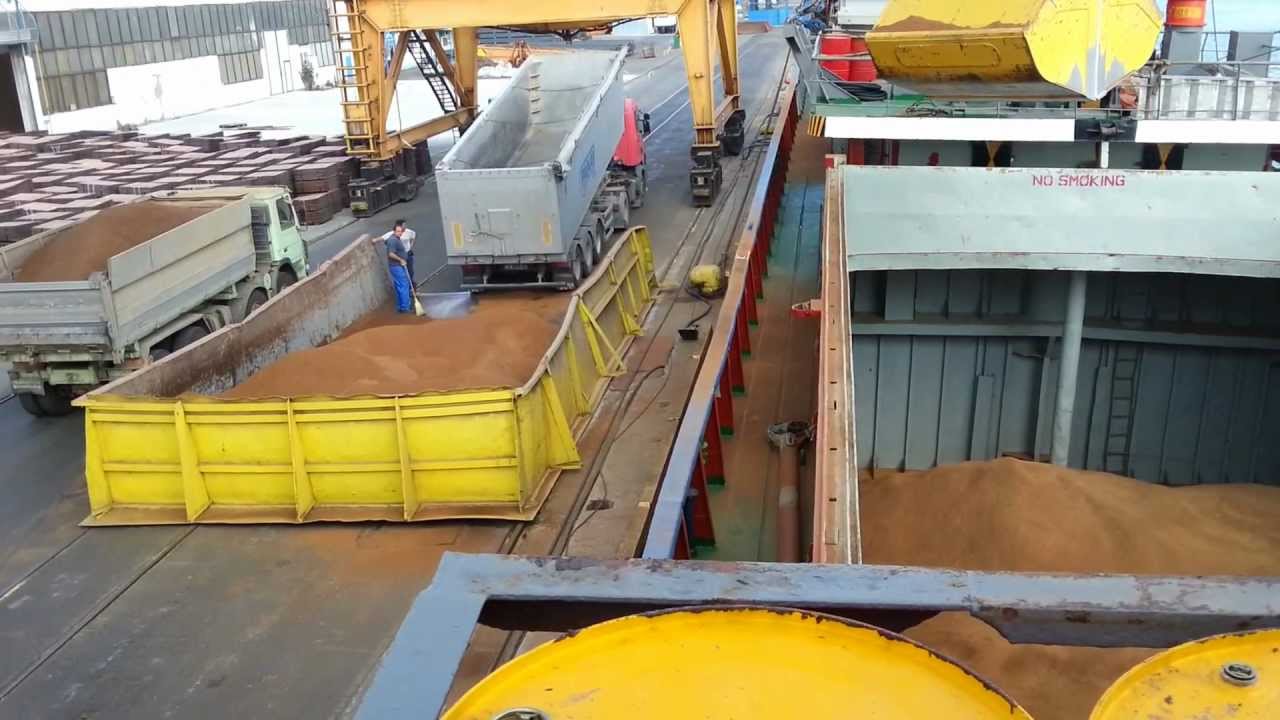 BULGARIAN DDGS LOADING - YouTube