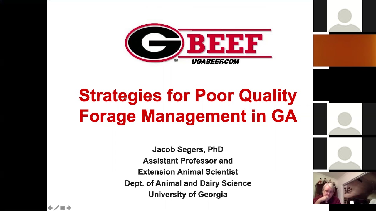 Management Strategies for Poor Quality Hay - YouTube