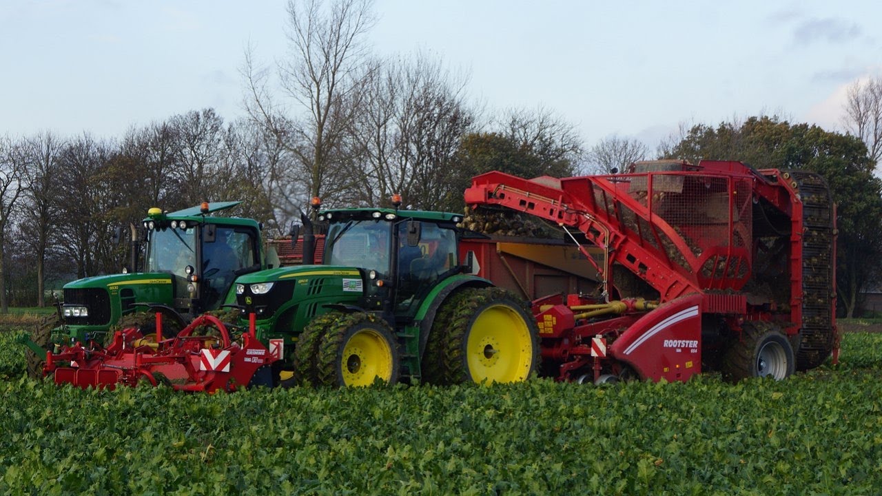 Sugar beet harvest Grimme Rootster 604 en Grimme FM300 frontklapper ...