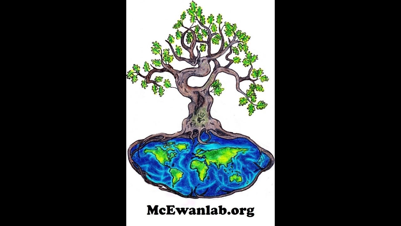 An Introduction to NMDS Ordination in the R programming language - YouTube