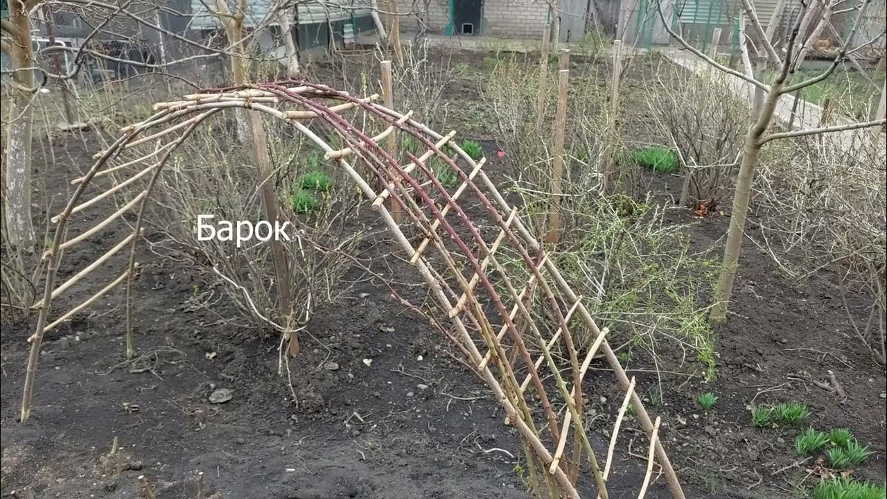 Формирующая обрезка роз весной. Результат - YouTube
