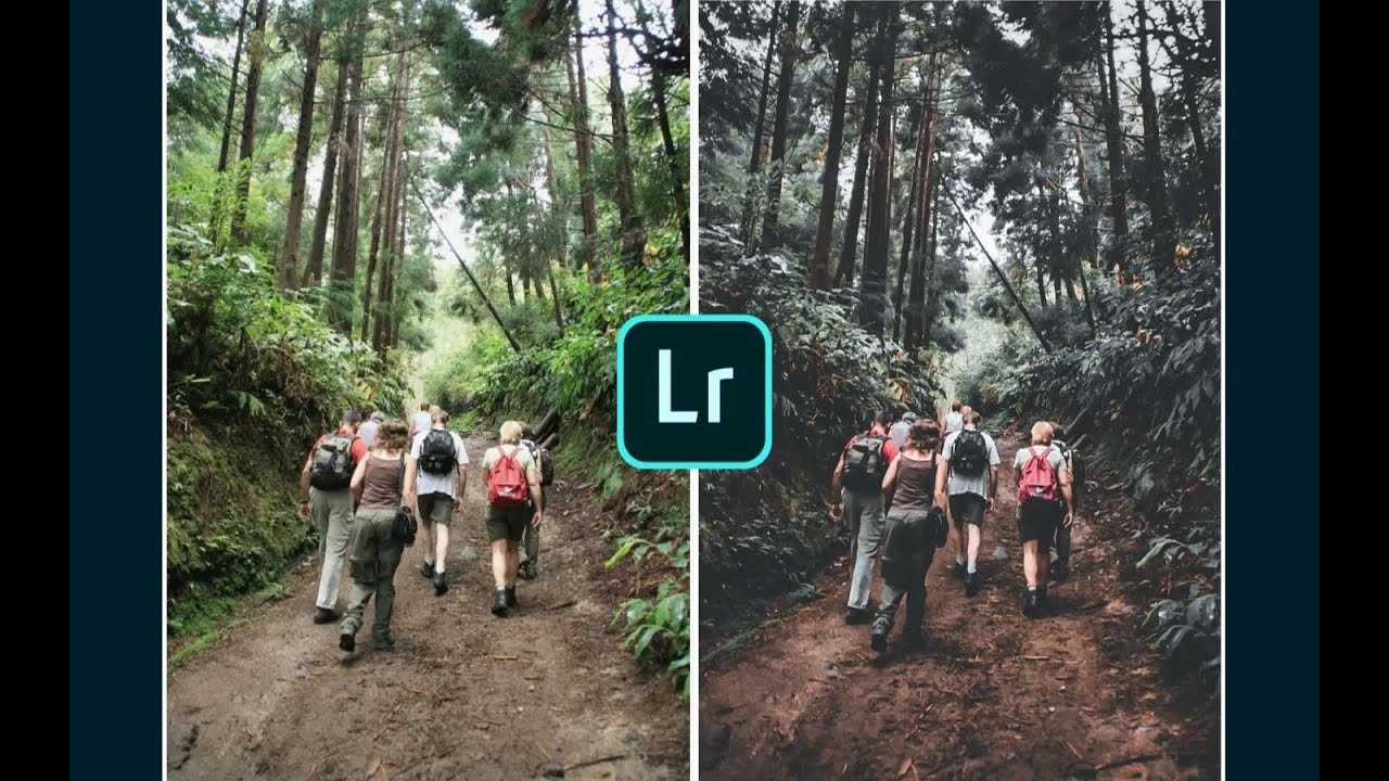 beginner to pro lr editing || lr photo editing tutorial - YouTube