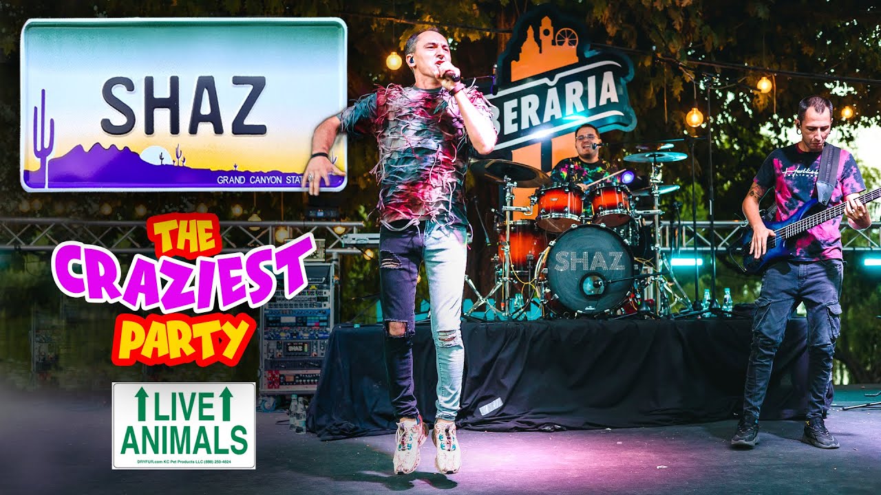 SHAZ - 2024 Demo Showreel - YouTube