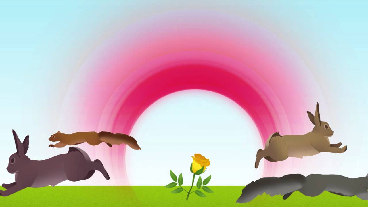 Repellex Systemic Tablets - YouTube