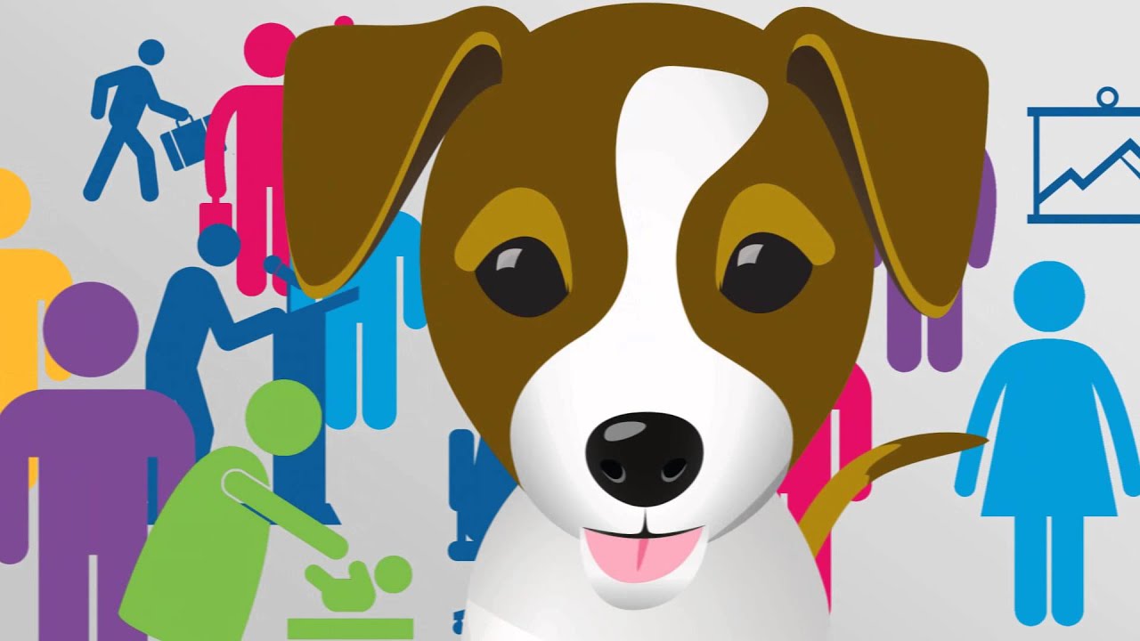 EPL Free Library Cards - YouTube