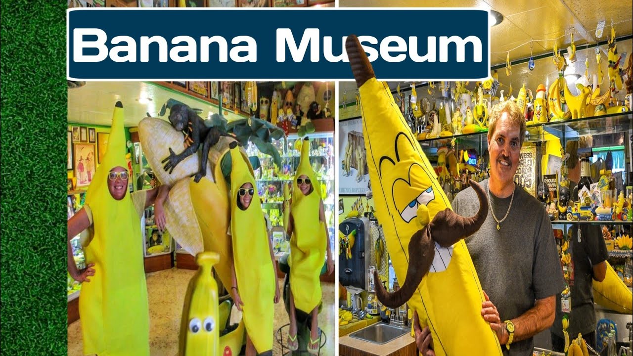 Banana Museum | Thousand of Variety Banana Collection | Raghu borikar ...