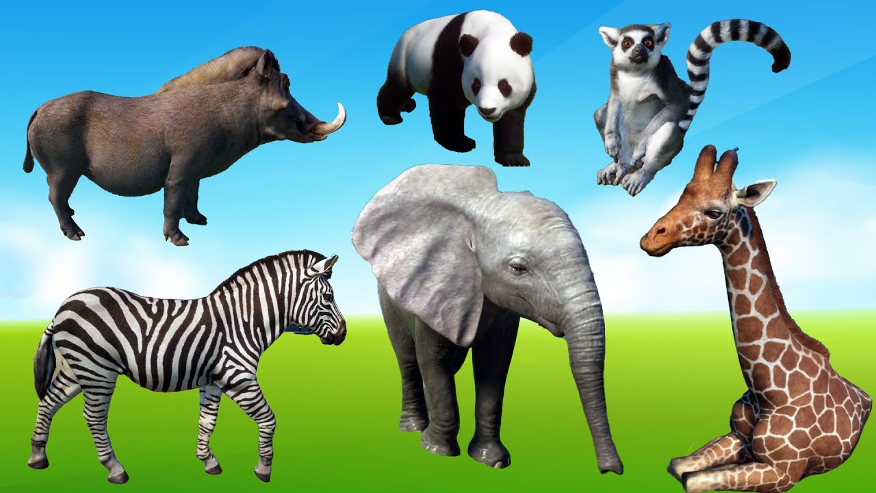 Heartwarming Moments with Wild Animals: Horses, Tigers, Elephants ...