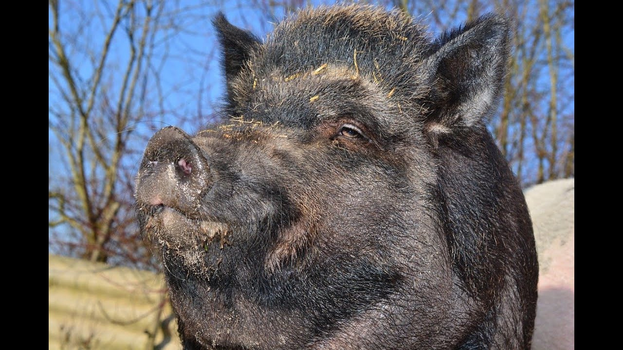 Rust highlight|bb rust and 2022 year - YouTube