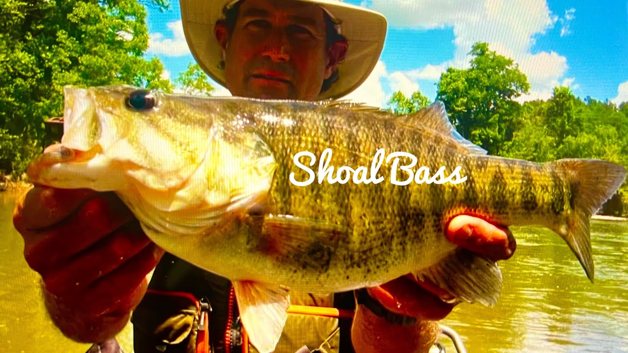Exploring the Flint River for Shoal Bass - YouTube