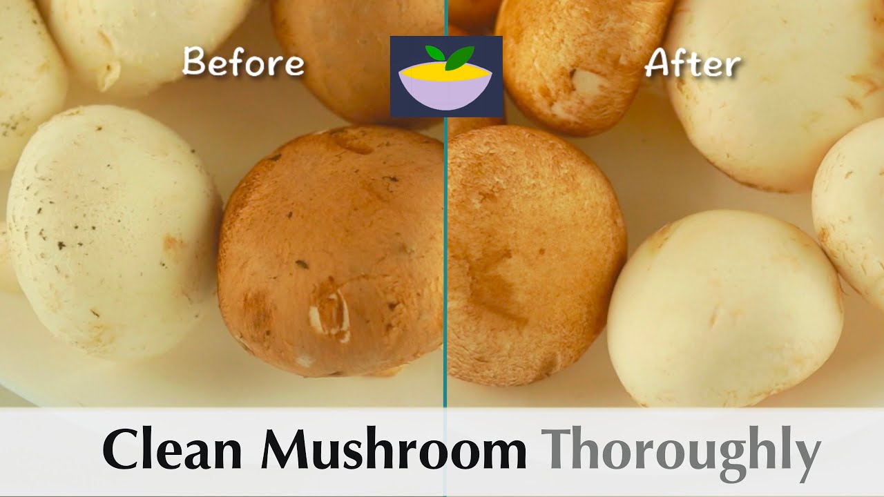 How to Clean Mushroom Thoroughly | New level of Clean for Mushrooms ...