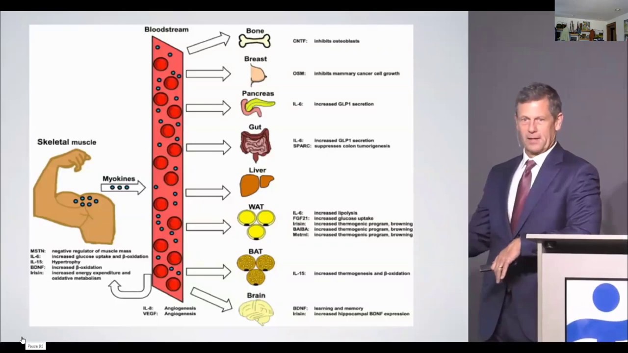 What is Normal Is Not Common Dr Doug McGuff - YouTube