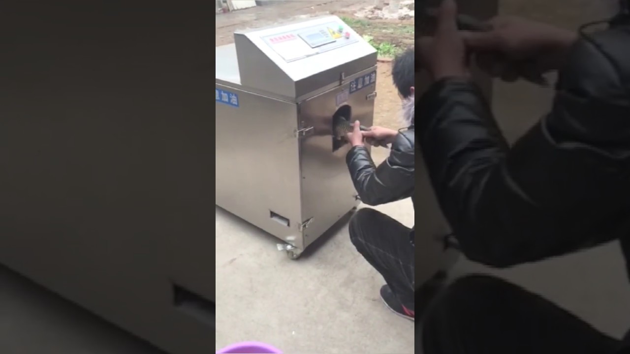 Automatic Fish Killing Cutting Cleaning Machine Fish Processing ...