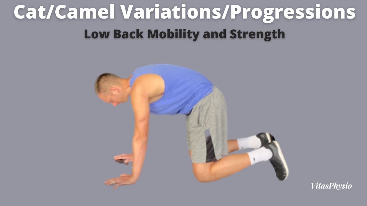 Cat/Camel Variations & Progressions - Low Back Mobility & Strength ...