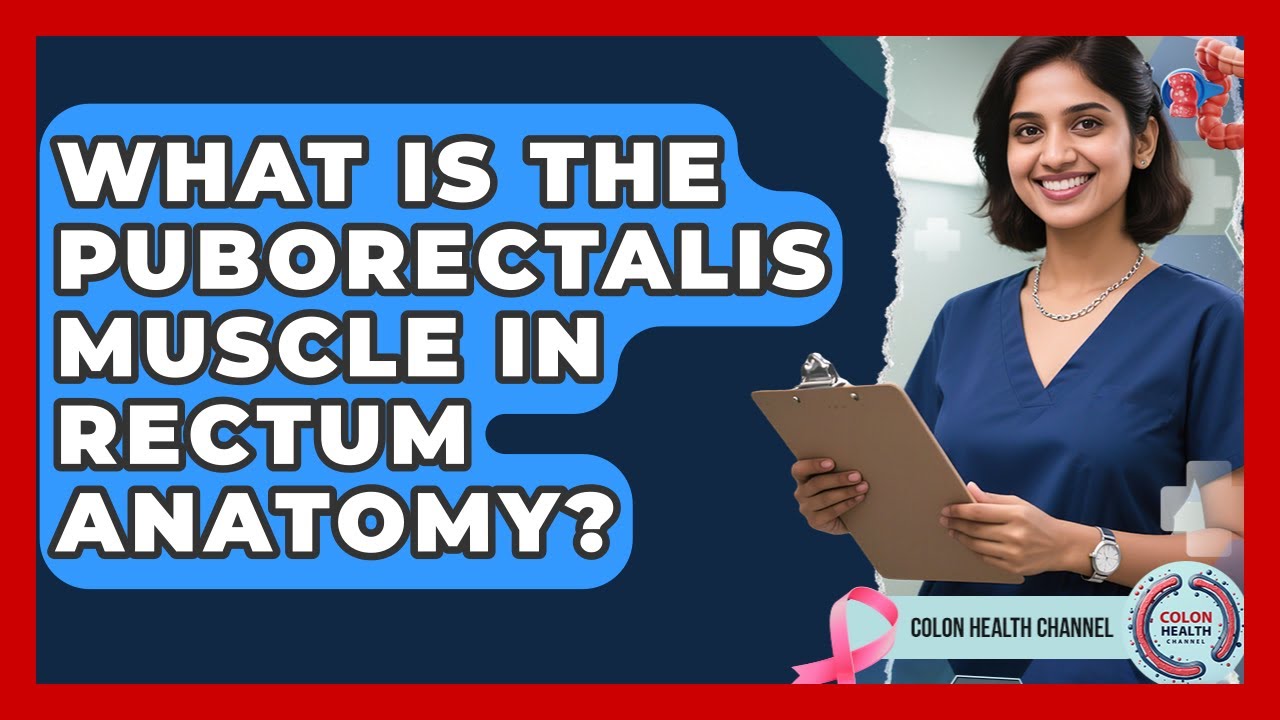 What Is The Puborectalis Muscle In Rectum Anatomy? - Colon Health ...