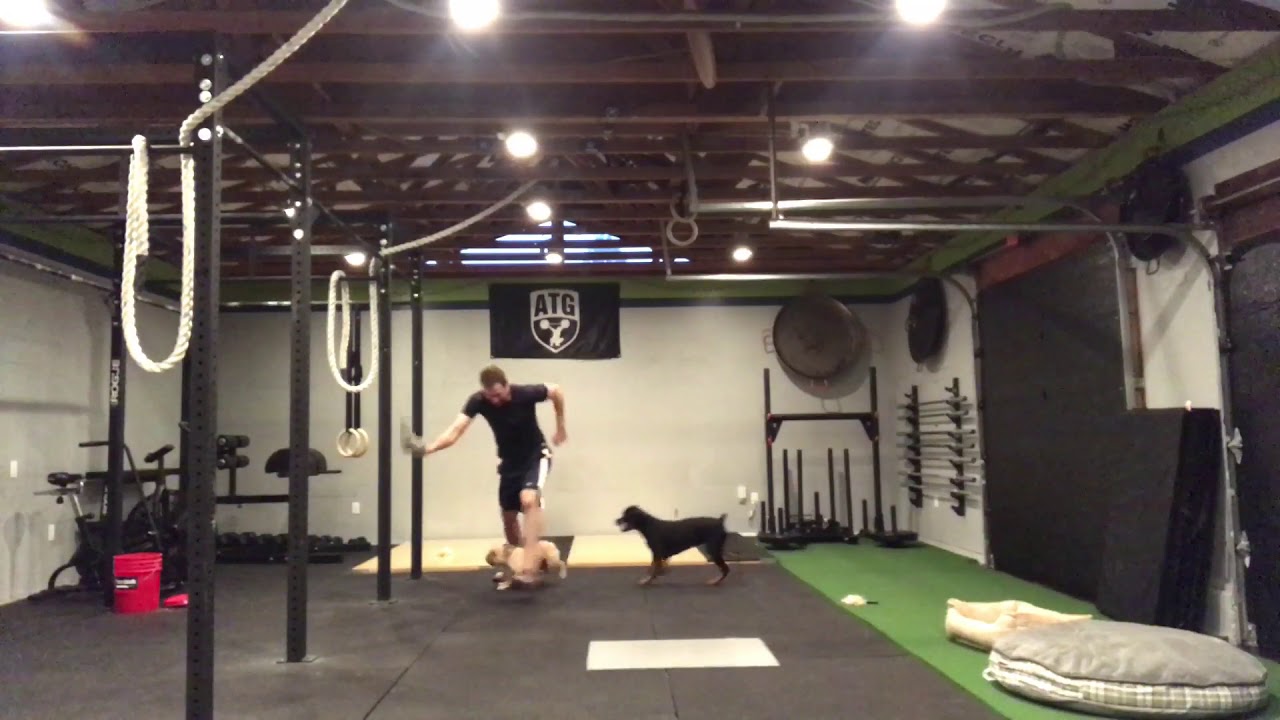 George & Dottie keep away - YouTube