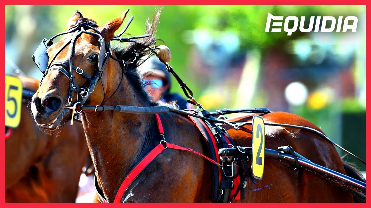 TOTOO DEL RONCO AVEC BRIO ! | Arrivée du Quinté+ | 21/04/18 - YouTube