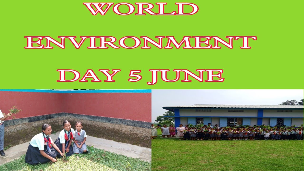 World Environment Day 5 June 🏝️🎄 - YouTube