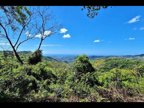 Samara Hill Estates 77 Acre Ocean View Finca - YouTube