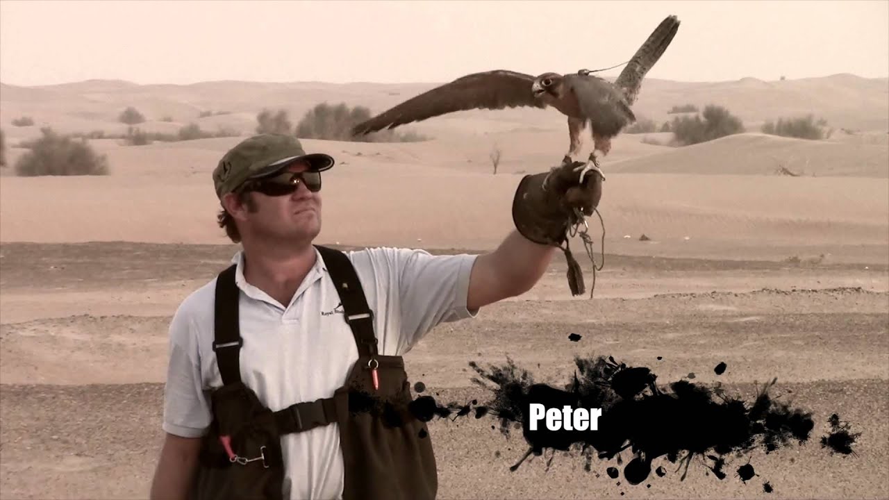 Royal Shaheen Events, Falconry show Dubai - YouTube