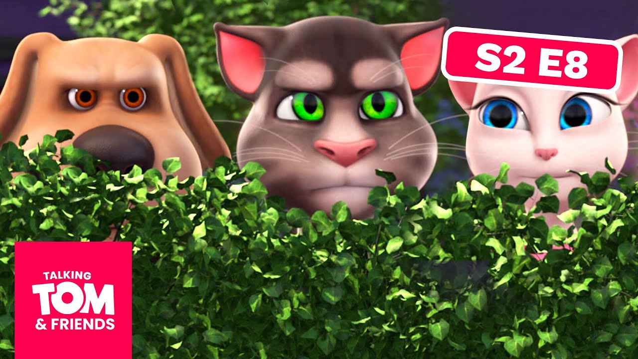 Talking Tom And Friends Episodes at Heather Jean blog