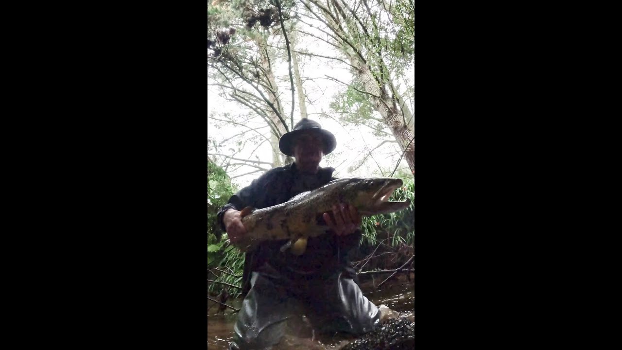 Fly fishing for a monster 28" 8lb wild brown trout in an amazing tiny ...