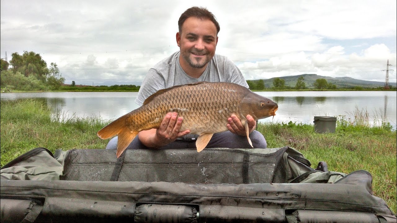 Pescuit la crap Balta Ben Hunedoara 2020 - YouTube