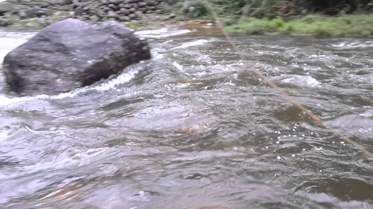 අවාරේ සීත ගඟුල.... - Seetha Gangula(Off-Season) - YouTube