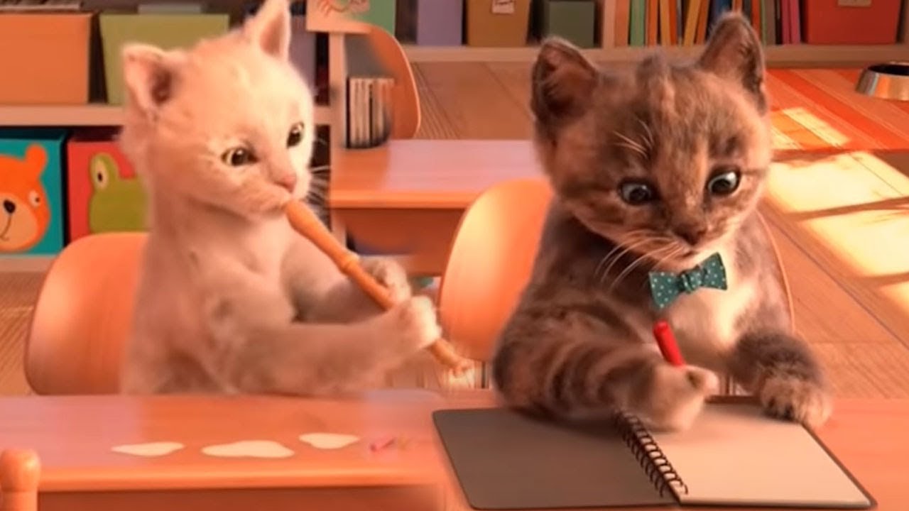 Little Kitten My Favorite Cat Pet Care Game Little Kitten Preschool little-kitten-my-favorite-cat-pet-care-game-little-kitten-preschool