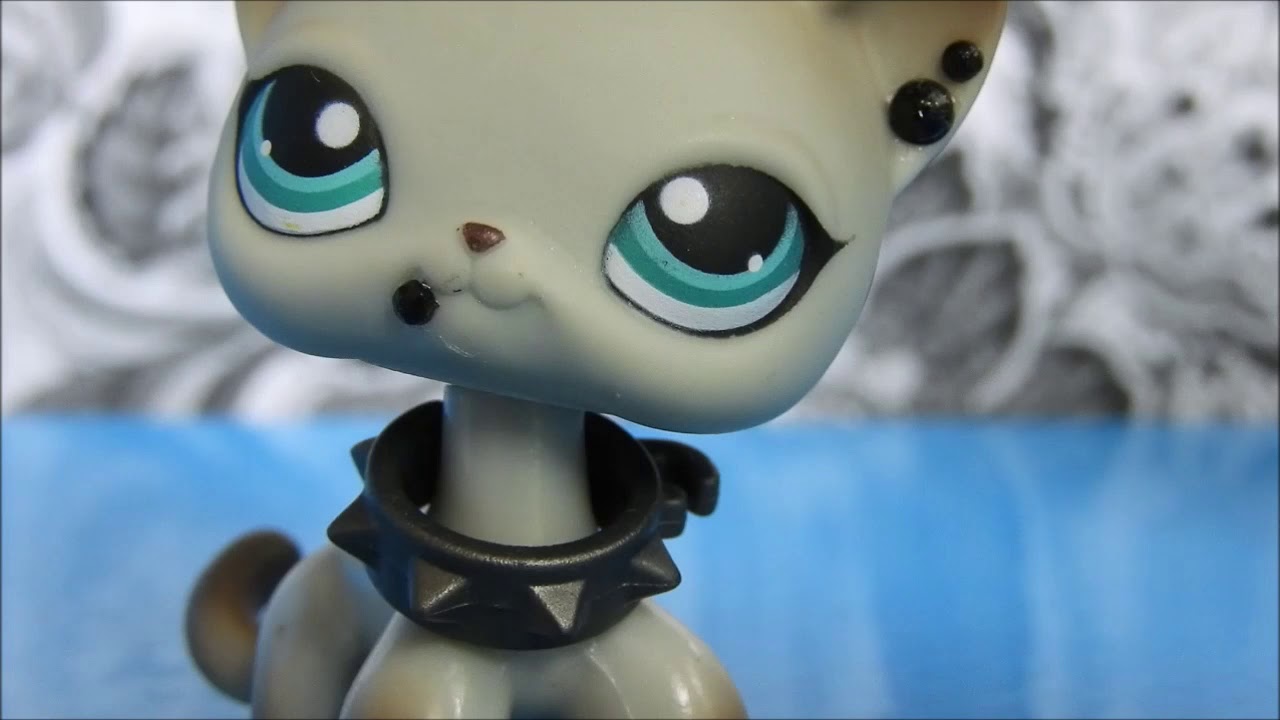 LPS UNBOXING #57: ~Новый мистери пет~ - YouTube