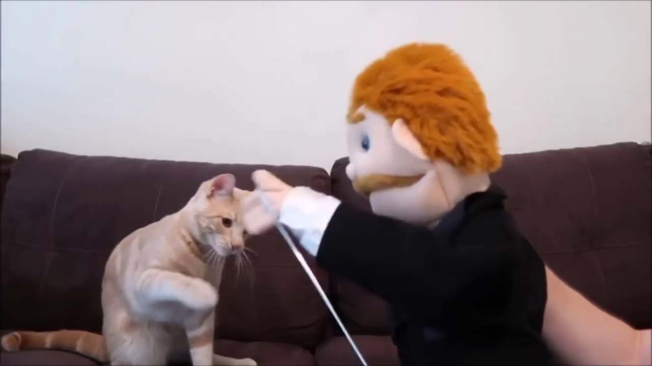 Goodman vs Cat - YouTube