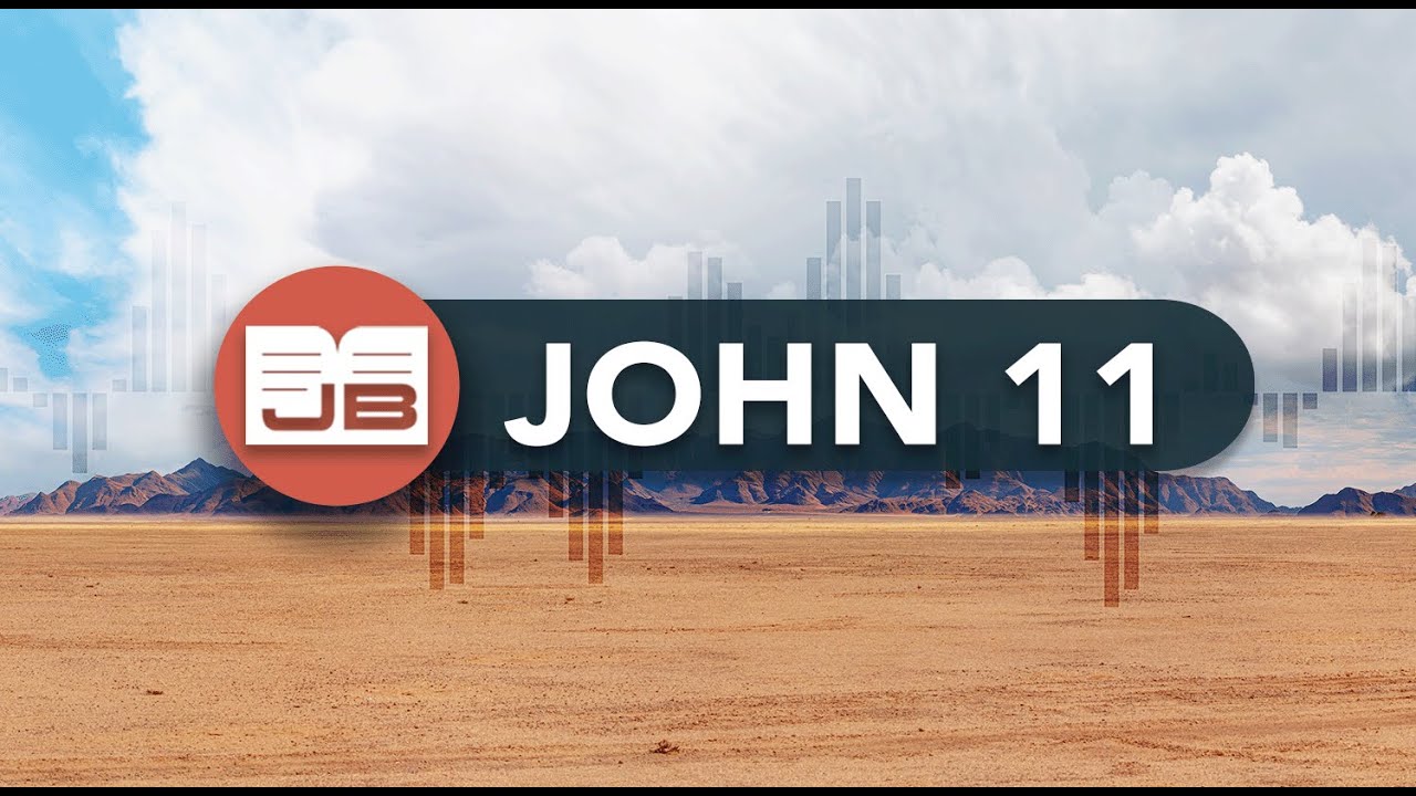 The Gospel of John | Chapter 11 - YouTube