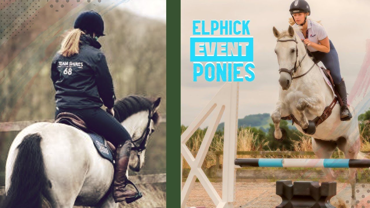 Elphick Event Ponies Edit - YouTube